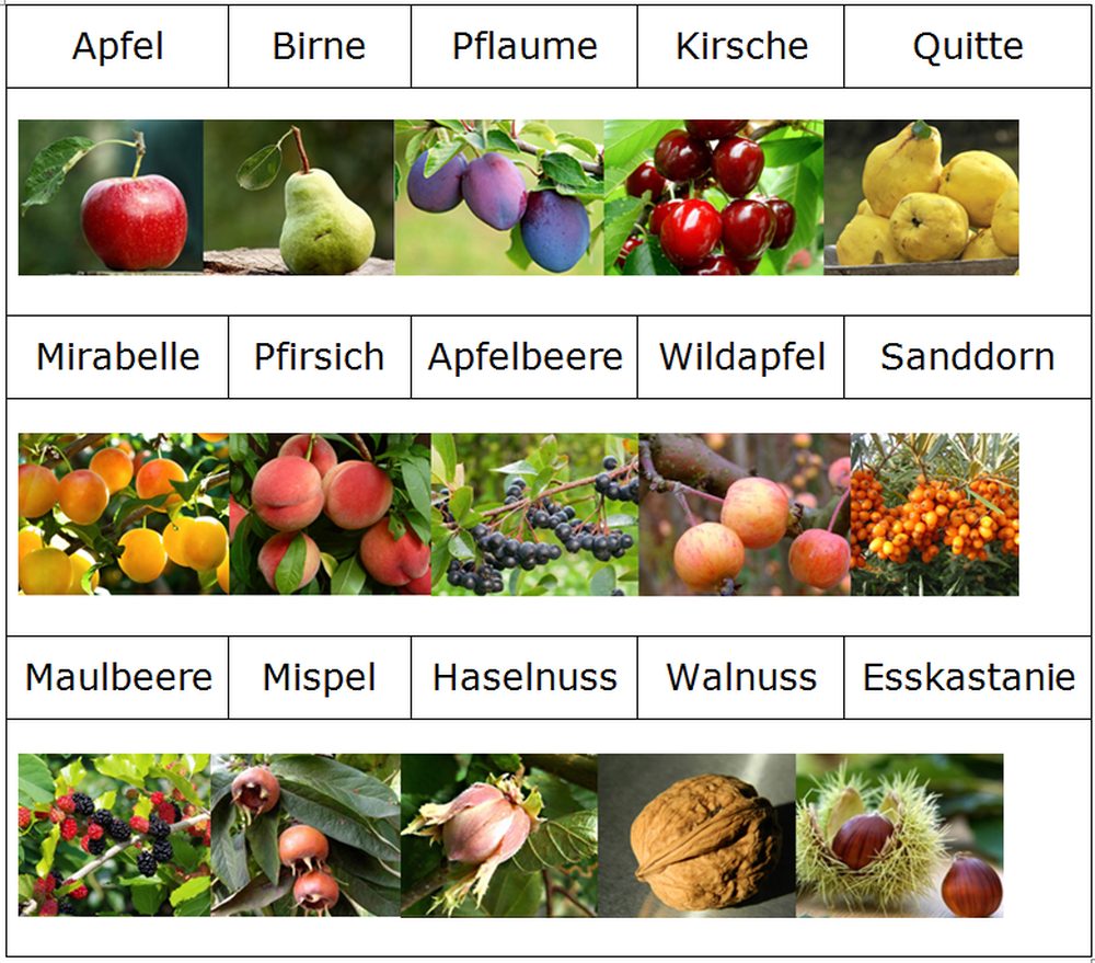 Über die Obstarche Reddelich – Obstarche Reddelich